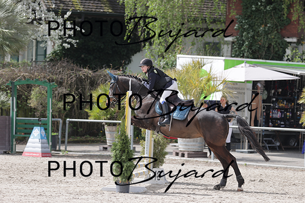 Les débuts de 2 cavalières et d’un jeune cheval ce week-end | Société ...