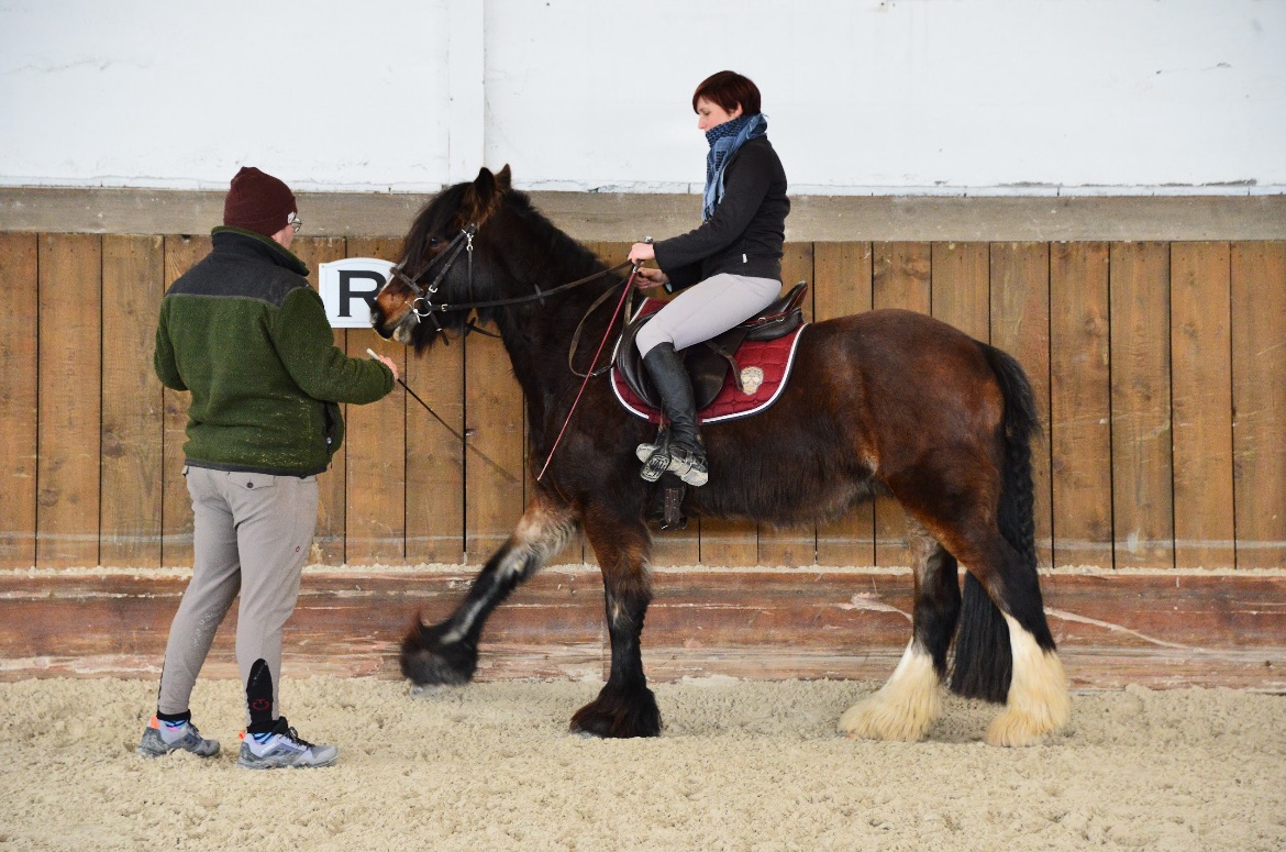Chloé et Goodie avec Blaise Meier | Société hippique des DGM Menthue